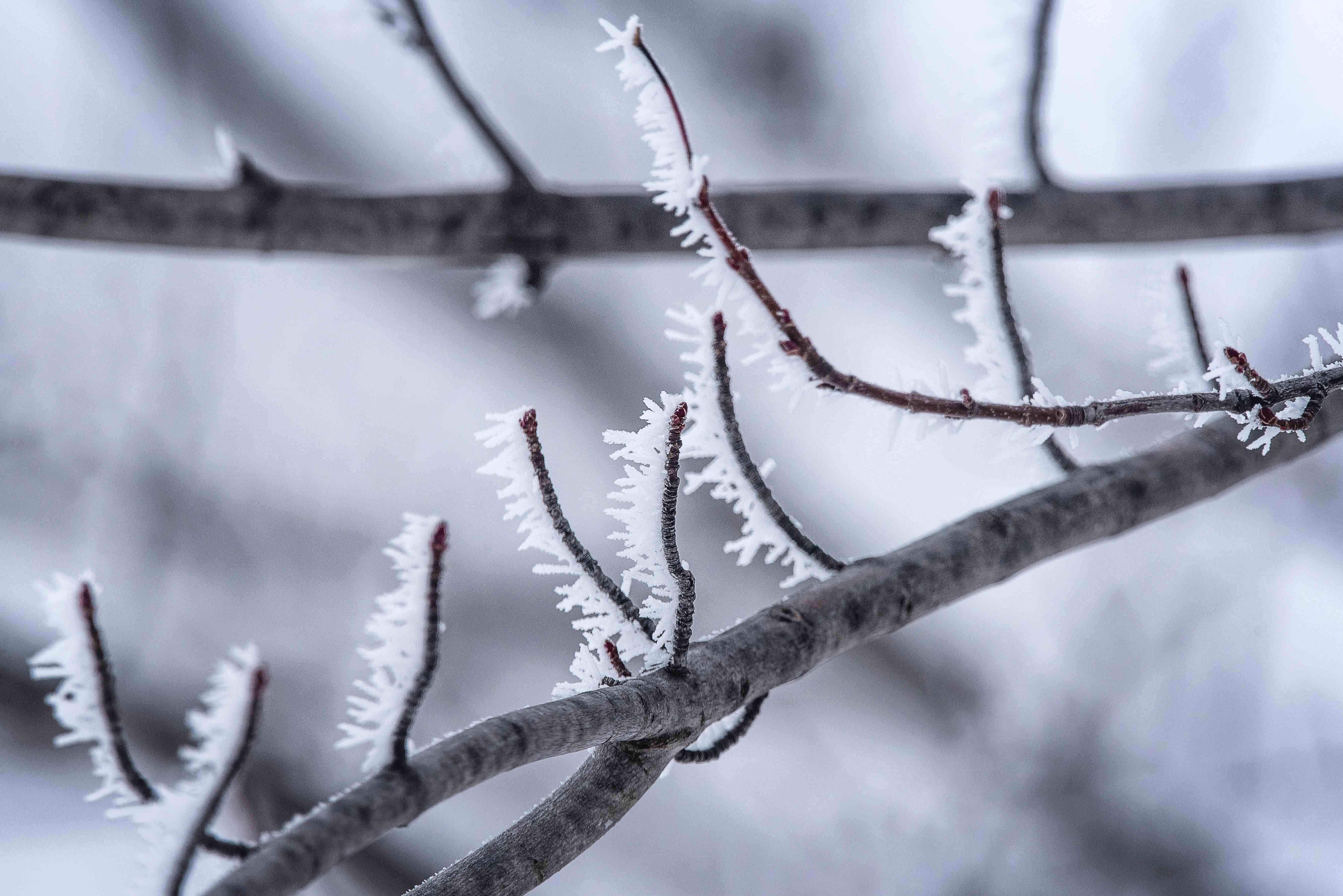 What is hoar frost?